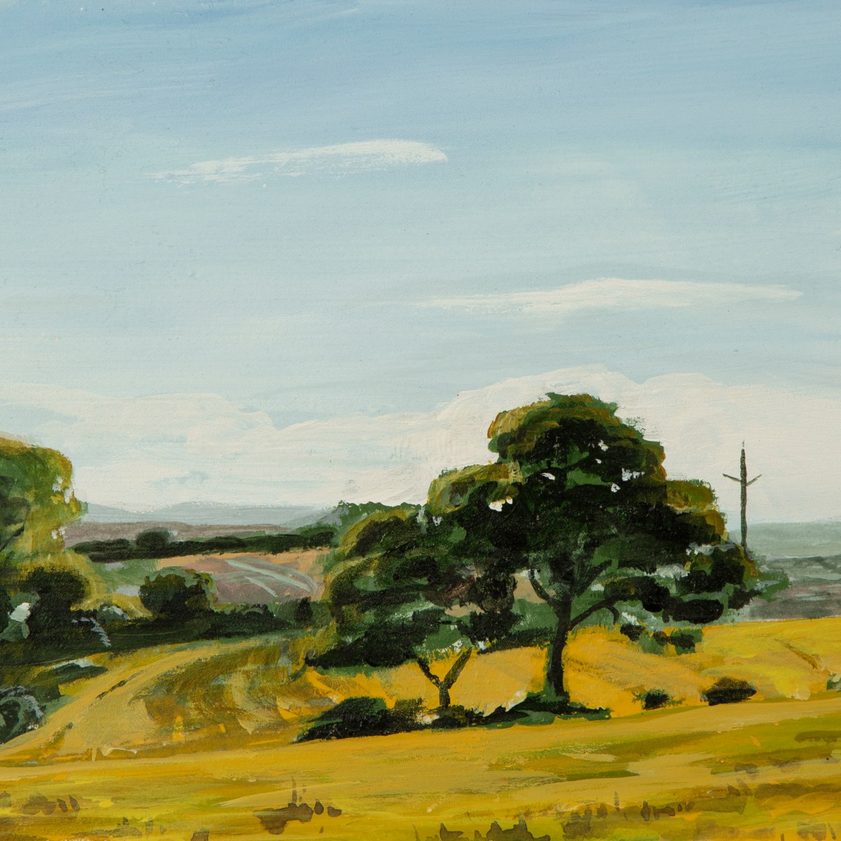 Paintings – Tony Wade