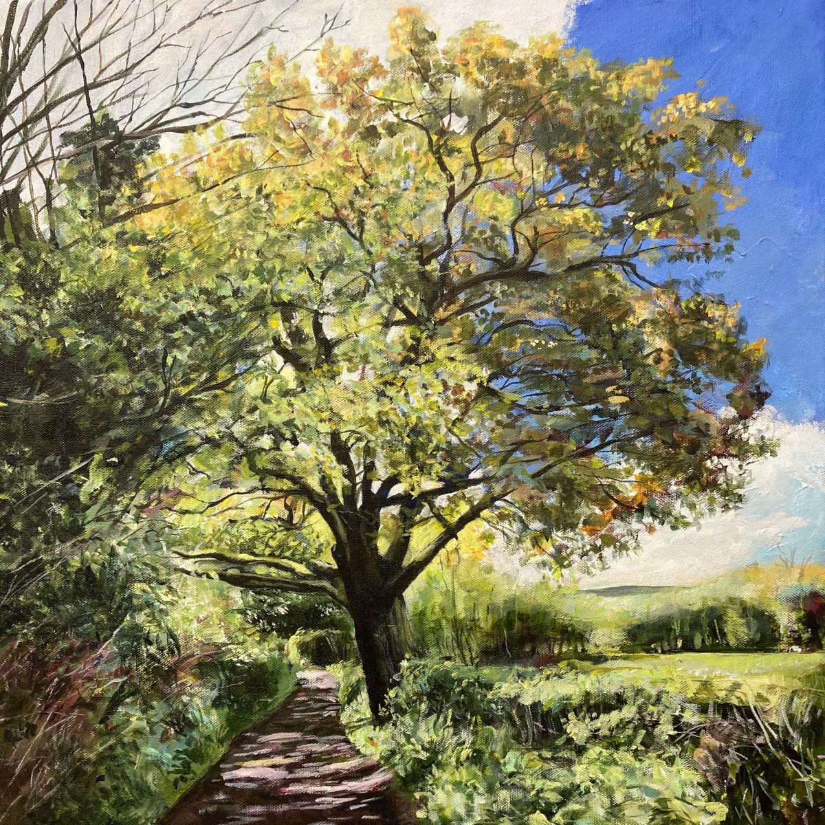Paintings – Tony Wade